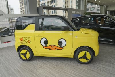 「熊猫」2023款 熊猫mini 200km 小黄鸭限定版 开心吖图片-内饰外观空间官方图-有驾