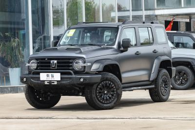 「坦克300」2024款 330 3.0T V6图片-内饰外观空间官方图-有驾