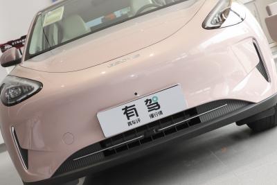 「星愿」2025款 310km 梦想版图片-内饰外观空间官方图-有驾