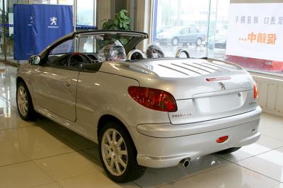 「标致206(进口)」图片-海量高清大图-有驾